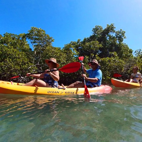 Key West Sandbar Tours | Key West Kayak Trips