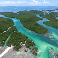 Key West Boat Rentals | Sunset Watersports