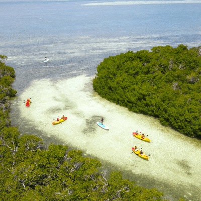 Key West Kayak & Sandbar Eco Tour | Sunset Watersports Key West