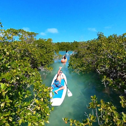 Key West Sandbar Tours | Key West Kayak Trips